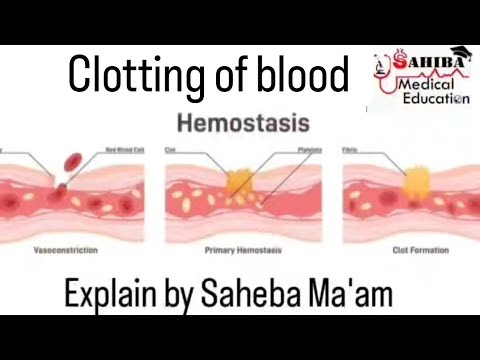 Hemostasis! mechanisms of blood clotting - YouTube