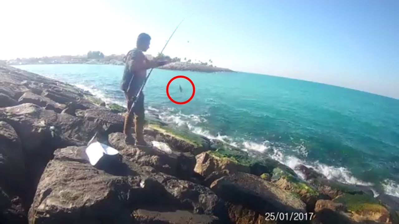 rabbit fish fishing in abu dhabi - YouTube