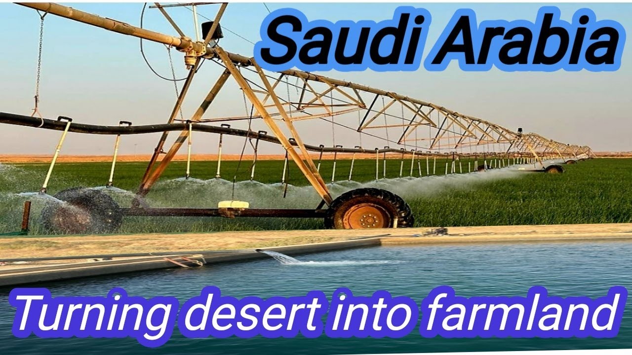 Agriculture in Saudia | Central Pivot Irrigation | Incredible Saudi ...