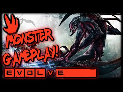 EVOLVE 2025 | ORCA WRAITH GAMEPLAY #320 (1440p) - YouTube