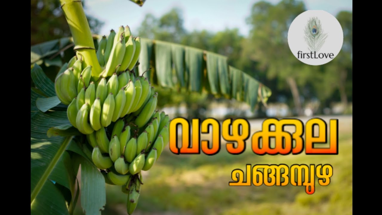 Vazhakkula | വാഴക്കുല | ചങ്ങമ്പുഴ കൃഷ്ണപിള്ള | Changampuzha Kavitha ...