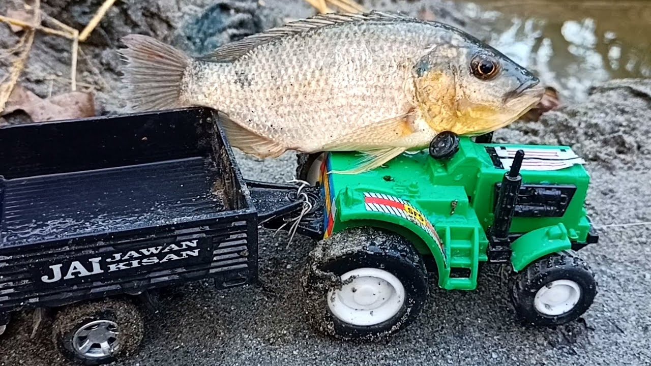 big fish 🐟 Helping video New part-23 | tractor cartoon video | tractor ...