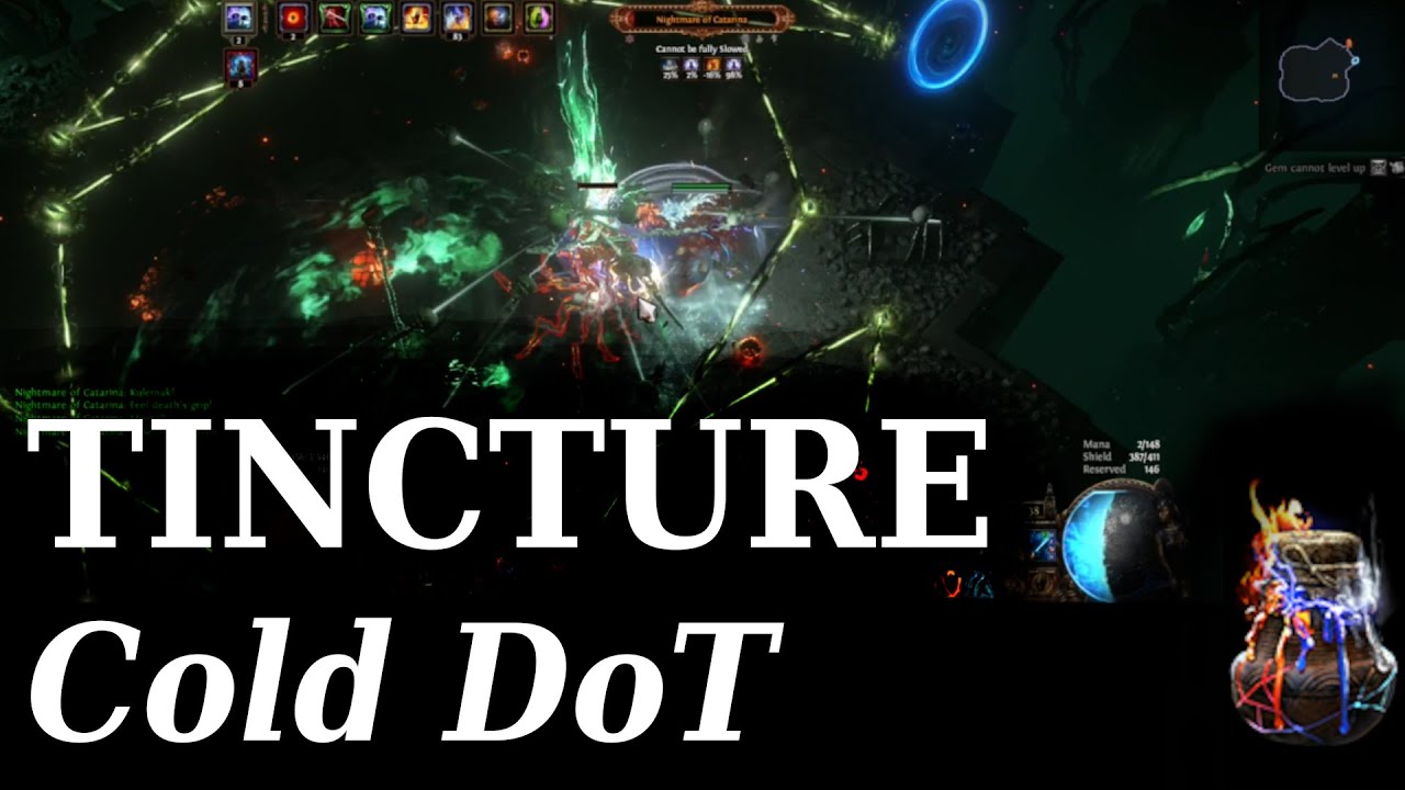 Cold DoT Tincture-Based (???) Warden [20 Divine Builds // Path of Exile ...