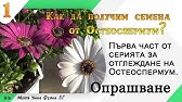 ХРУСТАЛЬНАЯ РОМАШКА🌺ПРИНЦЕССА НА ВАШЕЙ КЛУМБЕ цветет все лето - YouTube