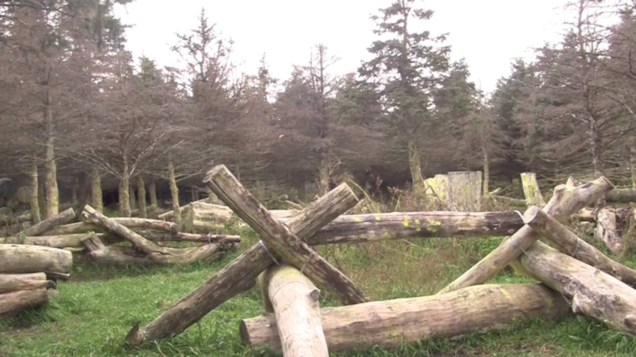 Splat Ball - YouTube