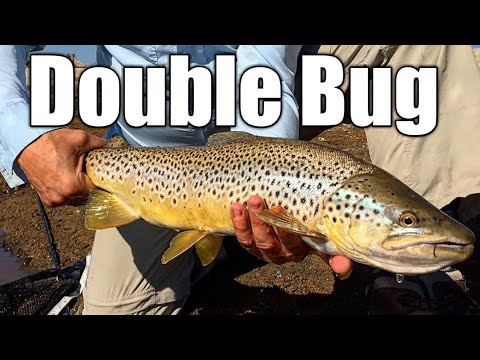 Double Bug - YouTube