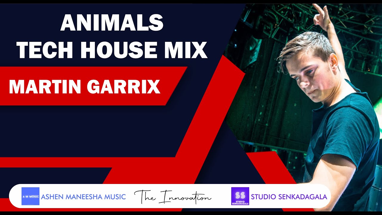 Animals - Martin Garrix (Tech House Mix) - YouTube