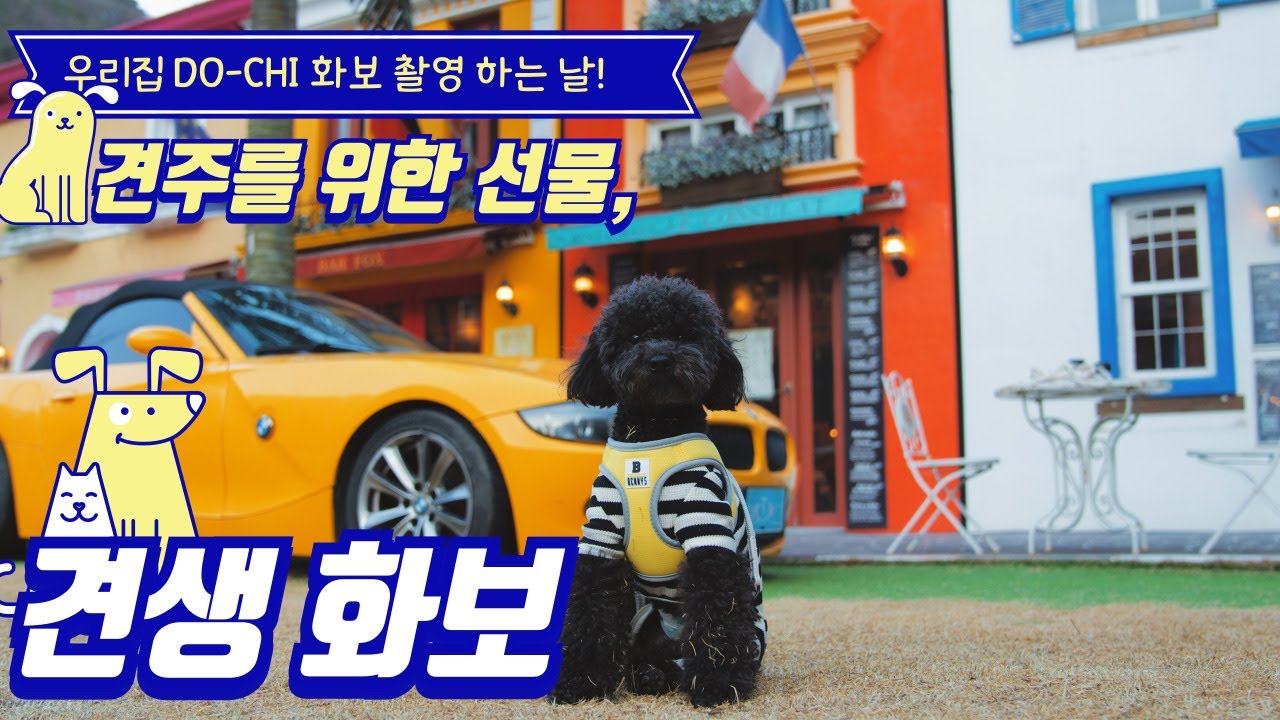 DO CHI [ 두치 ] 채널 소개 영상 - YouTube