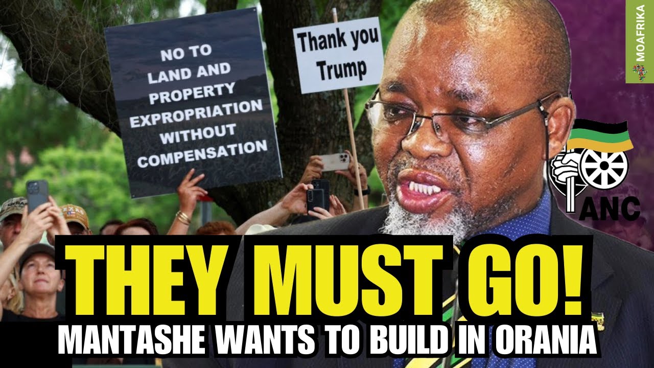 THEY MUST GO! ANC's MANTASHE SAYS BLACK PEOPLE MUST BUILD IN ORANIA ...