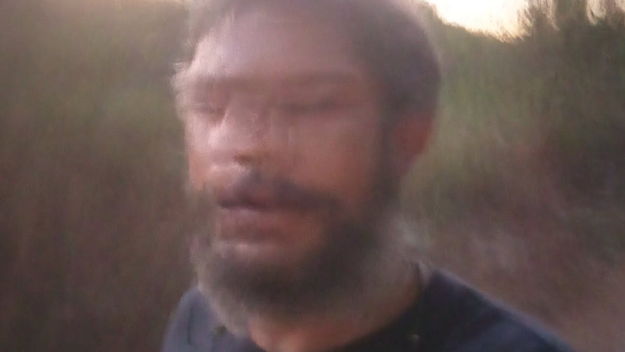 daily argument with dog - YouTube