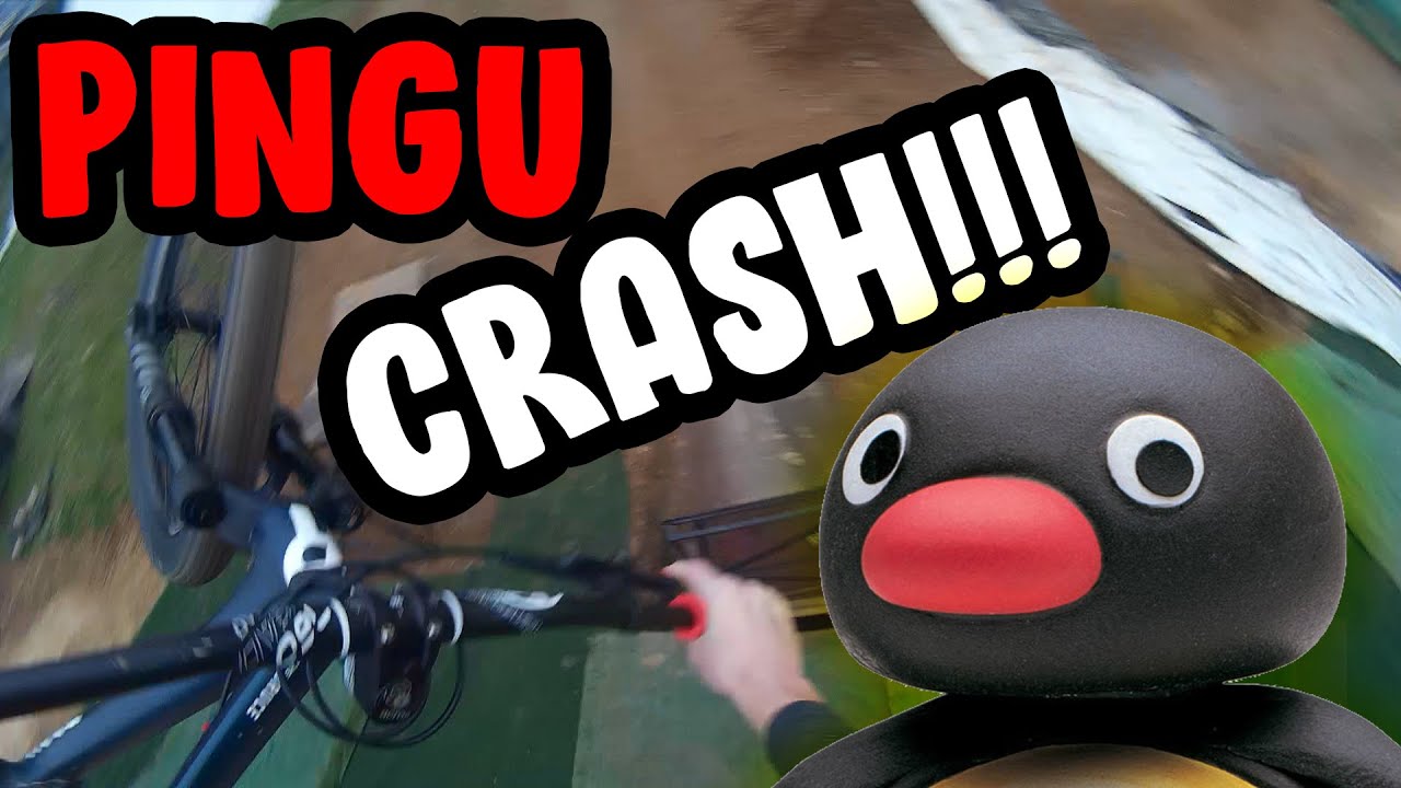 PINGU IN BIKE PARK 🐧 + CRASH!!! - YouTube