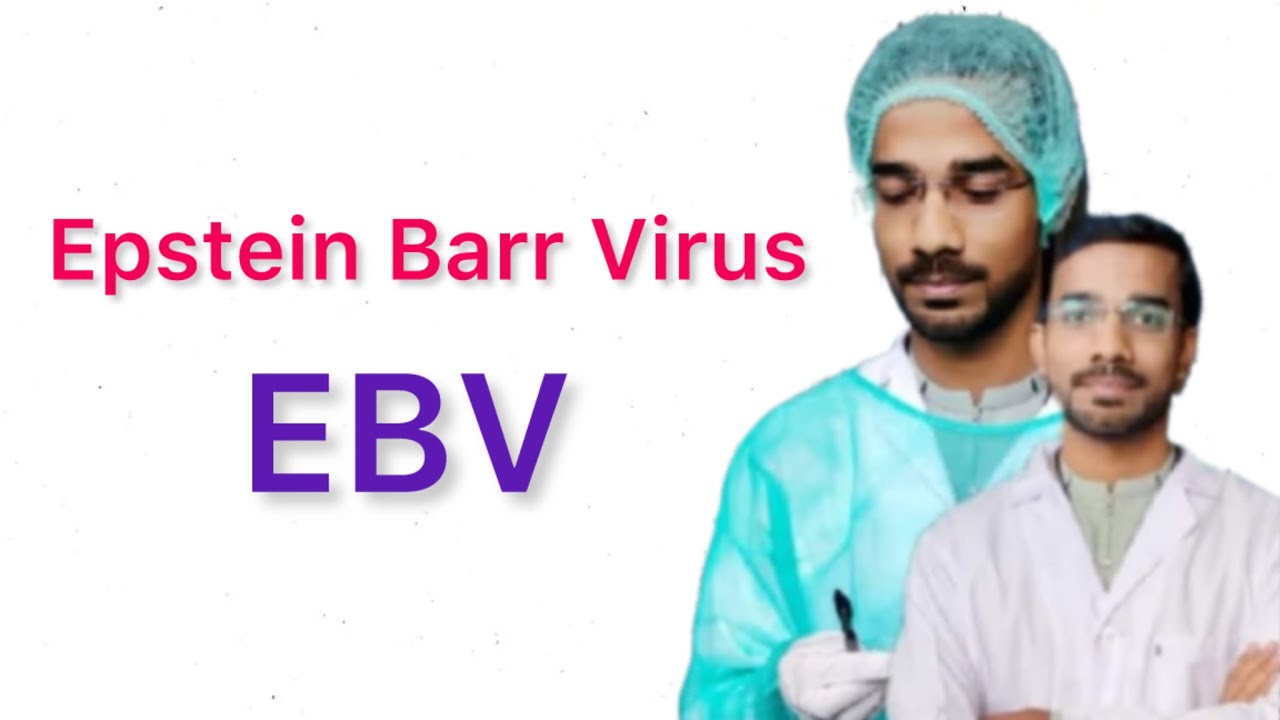 Epstein Barr Virus (EBV) | Transmission | Pathogenesis | Manifestation ...