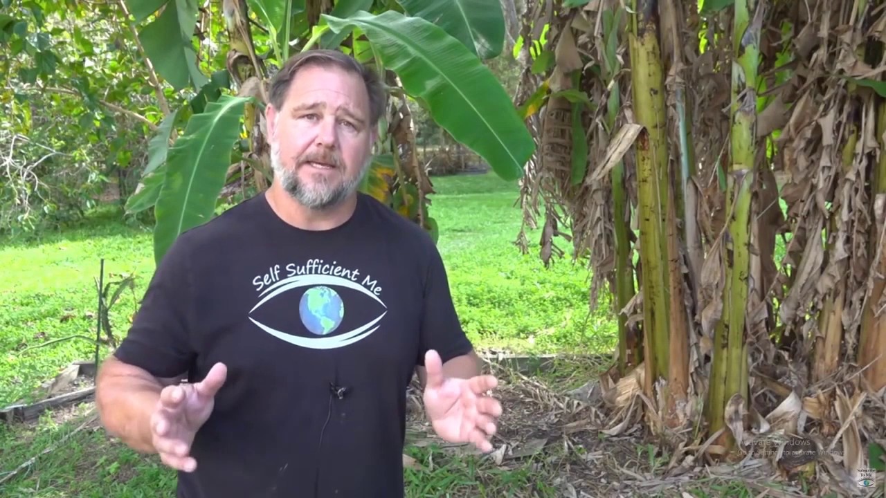 Skippy the Kangaroo - YouTube