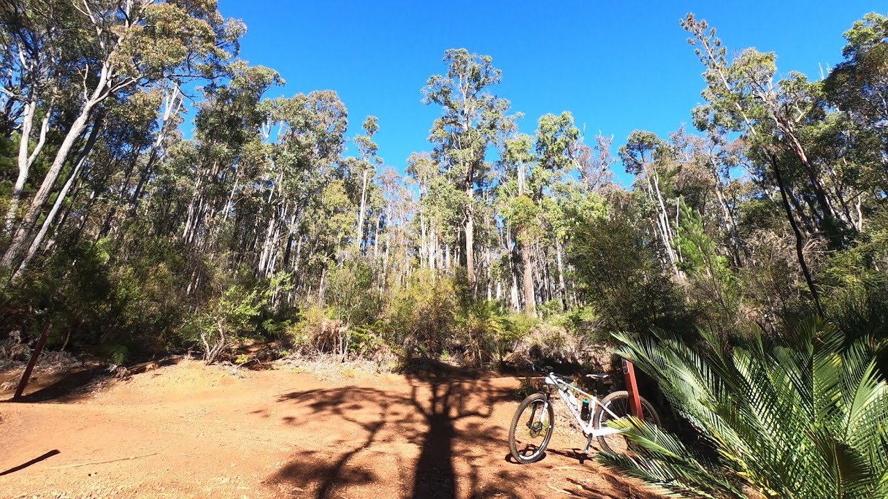 Dwellingup mountain bike ride: Munda Biddi from town to the Murray ...