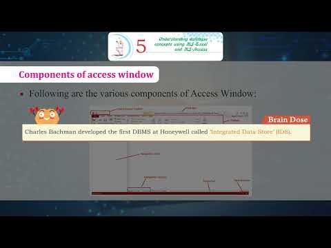 Ch 5 | Brain Storm | Computer | Class 8 | Understanding database concepts using MS- | For ...