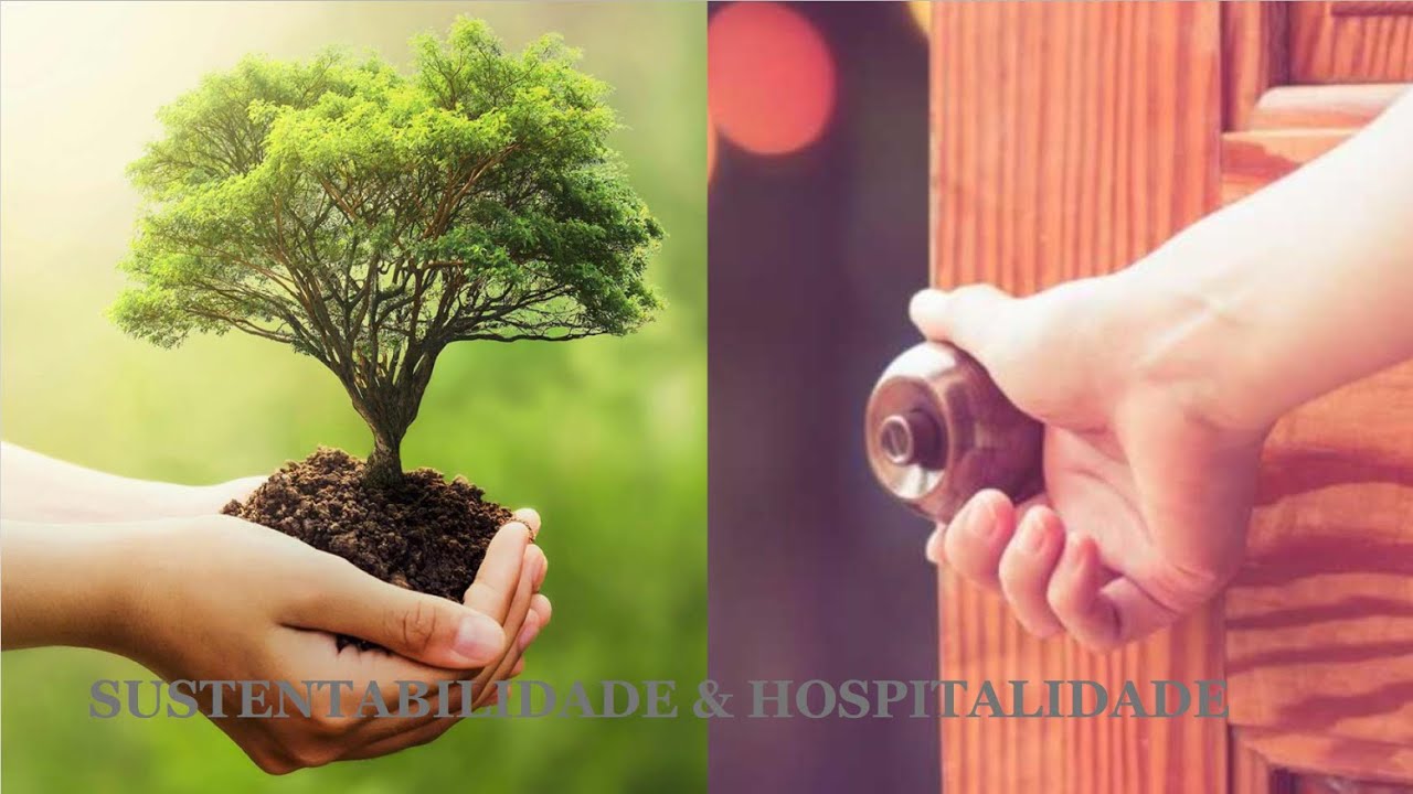 ESGH - Sustentabilidade aplicada ao Método Disney de Encantar os ...