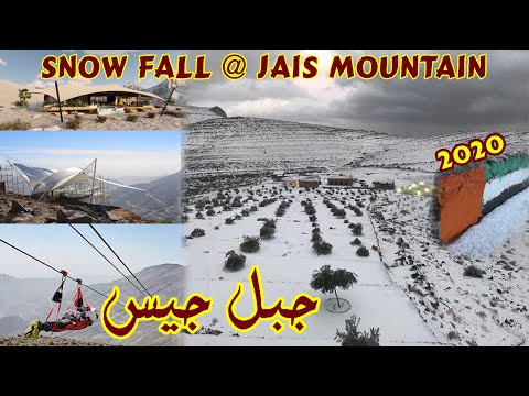 Snowfall in UAE | JAIS MOUNTAIN | SNOWFALL AT JABAL JAIS | RAS AL ...