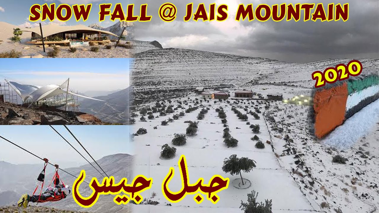 Snowfall in UAE | JAIS MOUNTAIN | SNOWFALL AT JABAL JAIS | RAS AL ...
