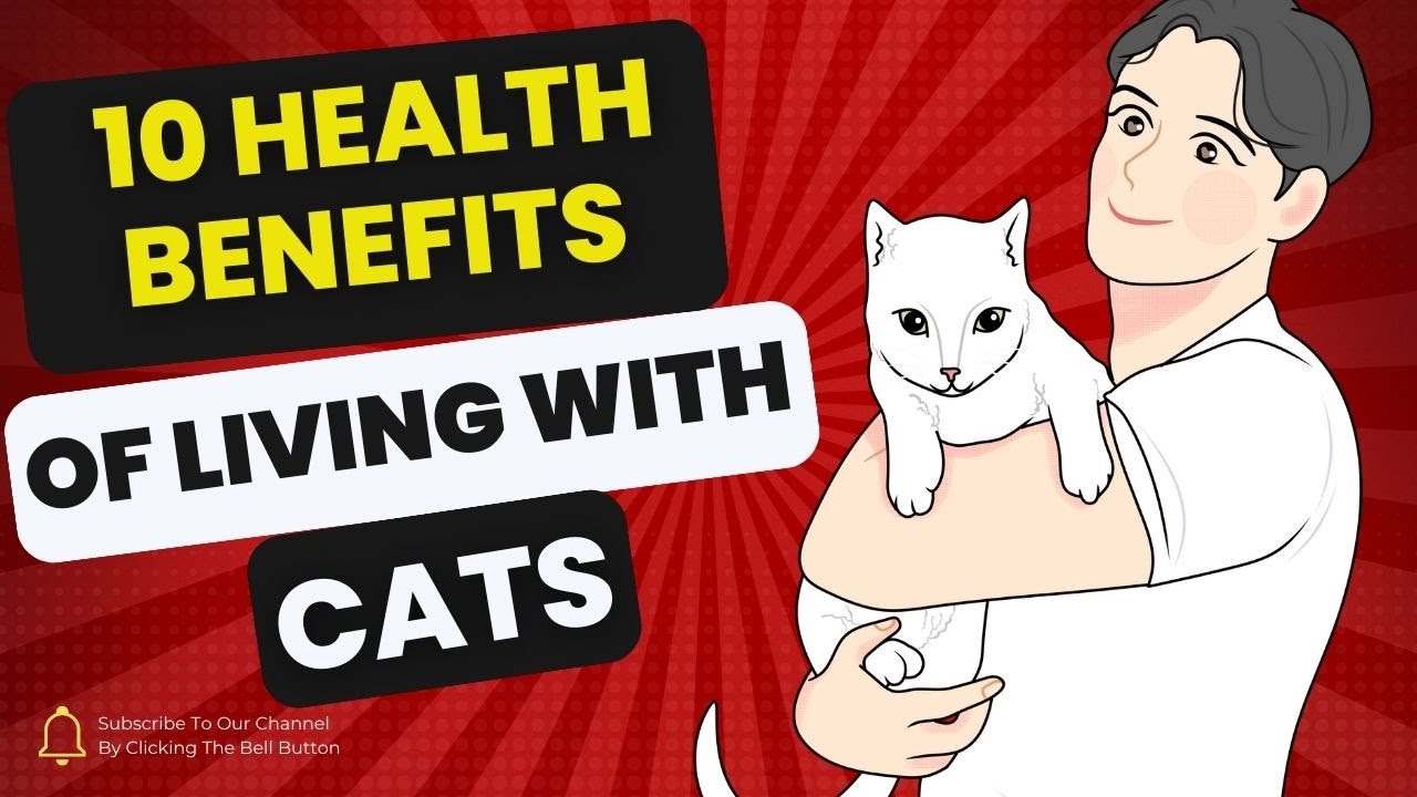 10 Health Benefits of Living with Cats. - YouTube
