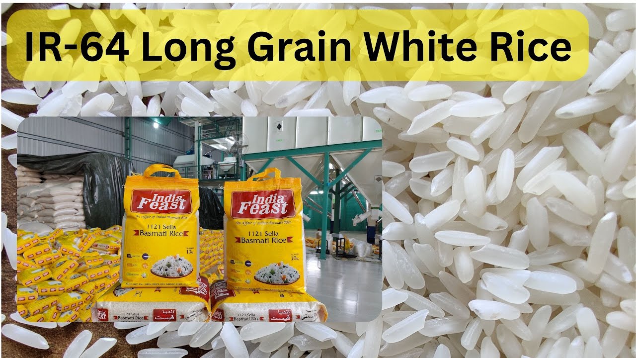 Long Grain White Rice | IR-64 White Rice | White Rice | Broken Rice | 5 ...