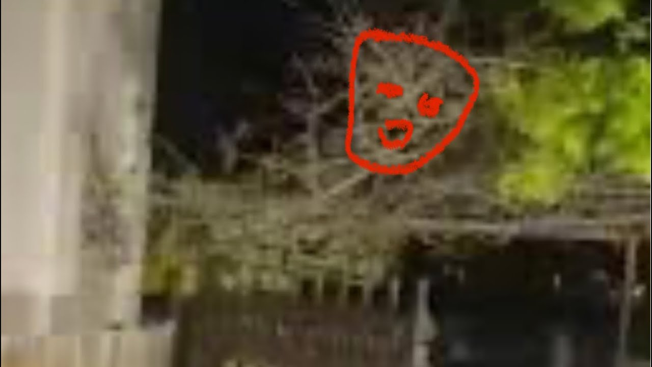 New Footage of the Backyard Alien in Las Vegas Nevada - YouTube