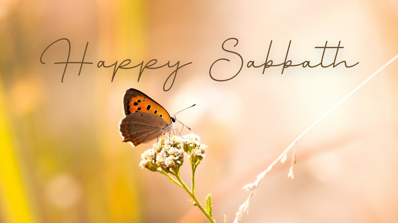 LIVE! Special Program | Tribute to Parents | July 8, 2023 - YouTube