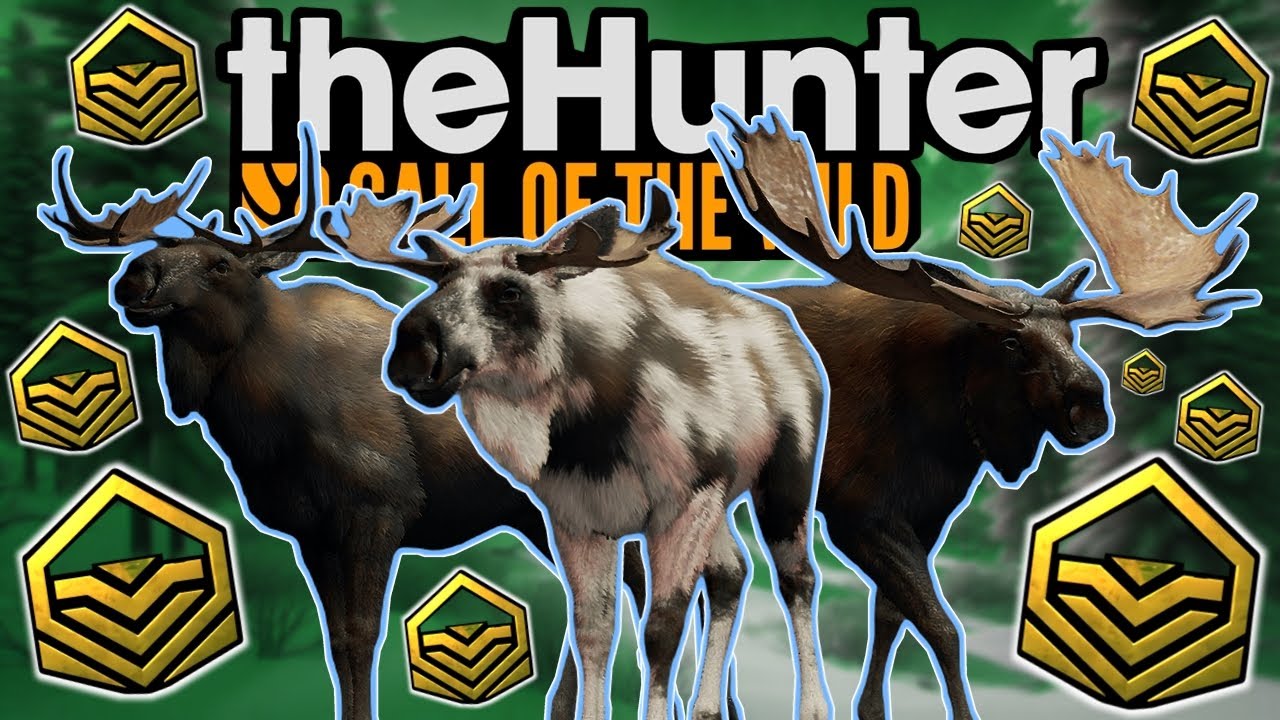 Grinding more Big Moose for a Great One!! - theHunter Call of the Wild ...