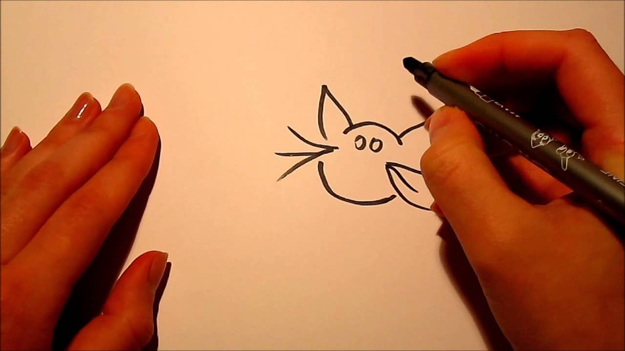 How to draw (for beginners): A cute cat holding a note.! - YouTube