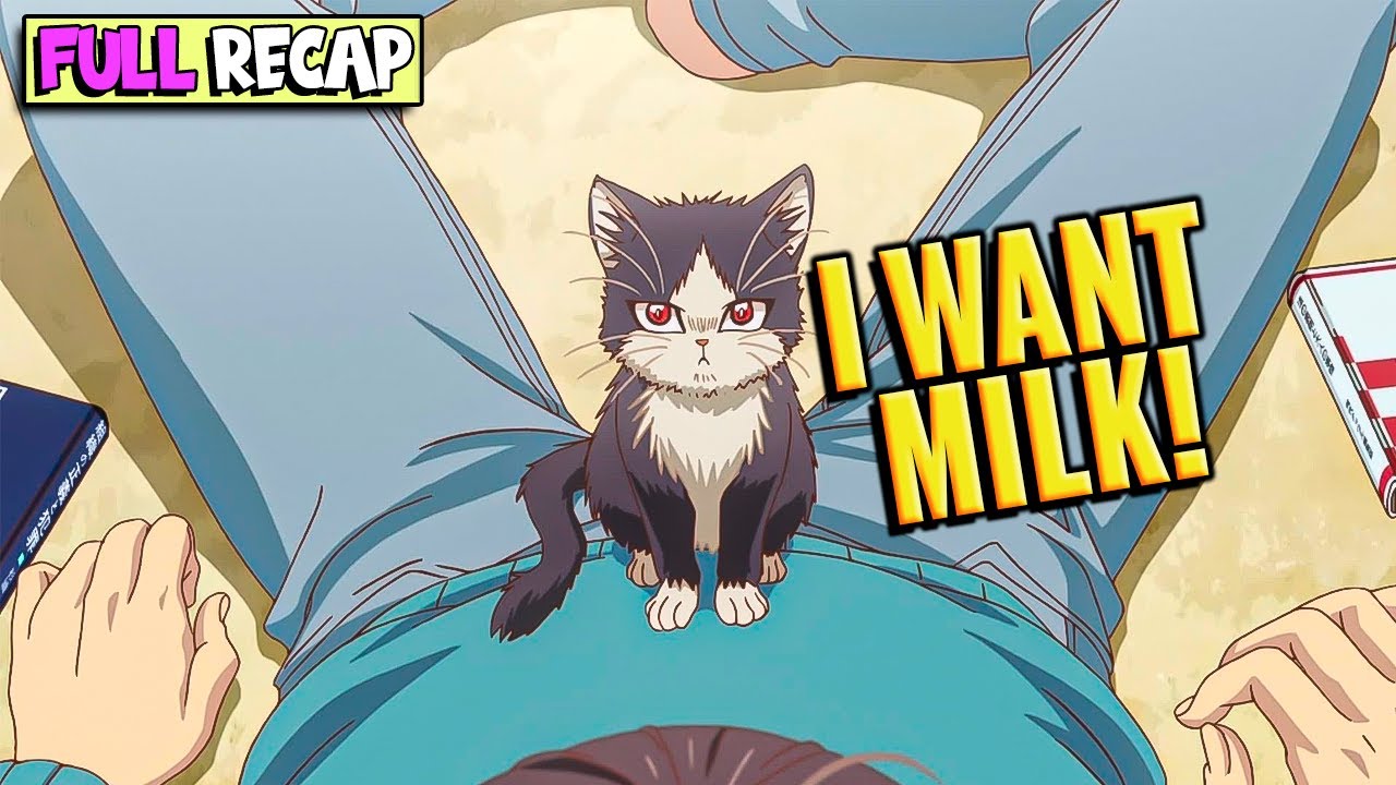 🙀Lonely Guy Had a Sad Life Until a Cute Cat Came to His House😺My ...