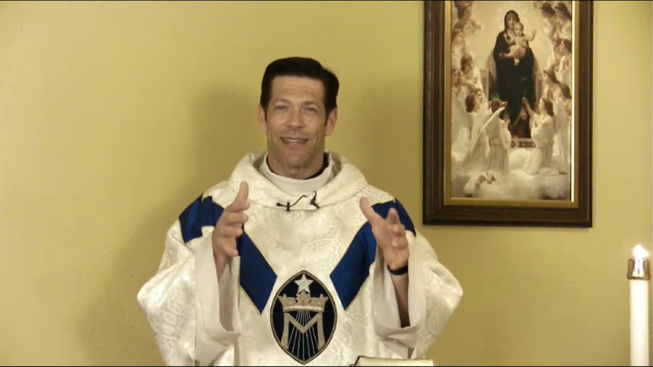 Fr. Mike Schmitz Homily The Ascension of the Lord - YouTube