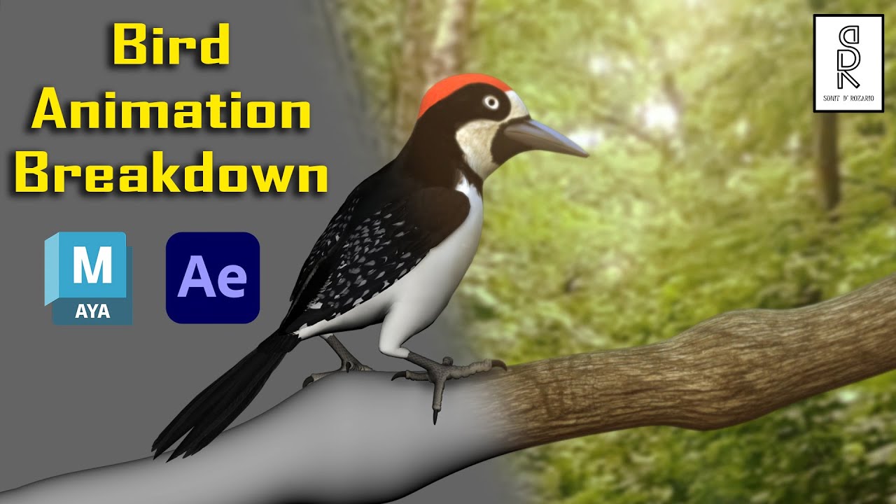 Animation Breakdown || Bird Shot Progression || Acorn Woodpecker ...