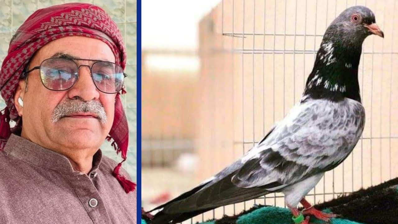 Ustad Chaudhry Moin Nawaz Ghaman of Sambaryal ki chat se - YouTube