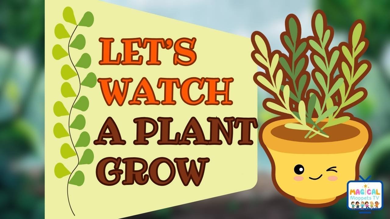 Let's Watch A Plant 🌿 GROW | Educational 📙 Stories For Kids 👋 - YouTube