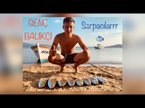 Akdeniz sarpası nasıl tutulur? Yemi nedir? Hangi takım ile yakalanır?