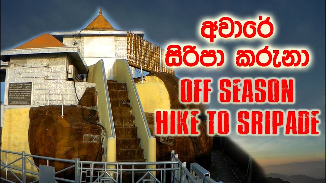 aware siripa karuna | අවාරේ සිරිපා කරුනා | #paradigevlogs - YouTube