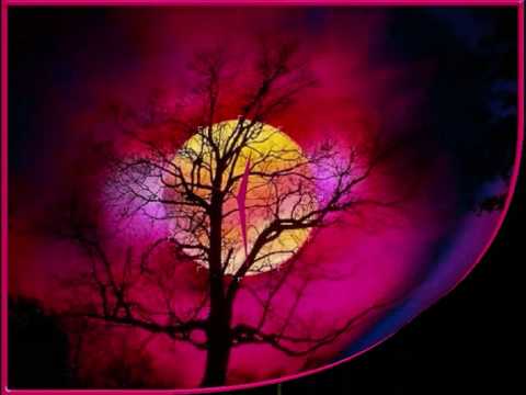 Just Hold Me... - YouTube