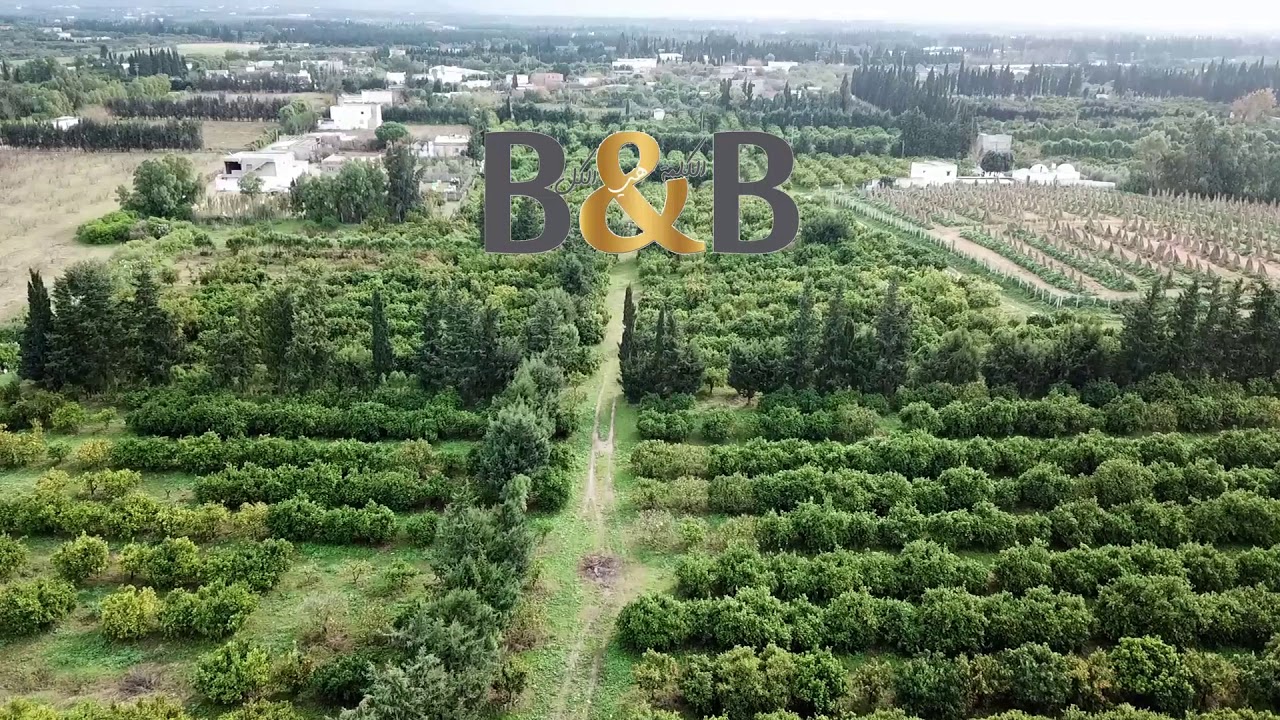 inside 1$ million dollar farms 🚜 - YouTube