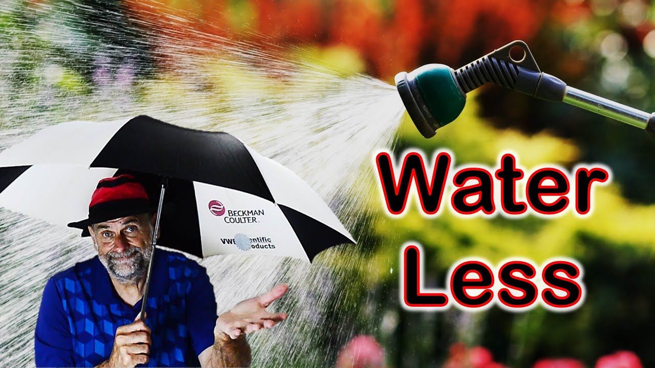 Less Water for Containers and Planters - My Three Tricks - YouTube