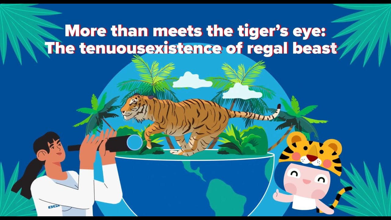 How Can Genomics Make a Difference in Tiger Conservation? | BGI Gene ...