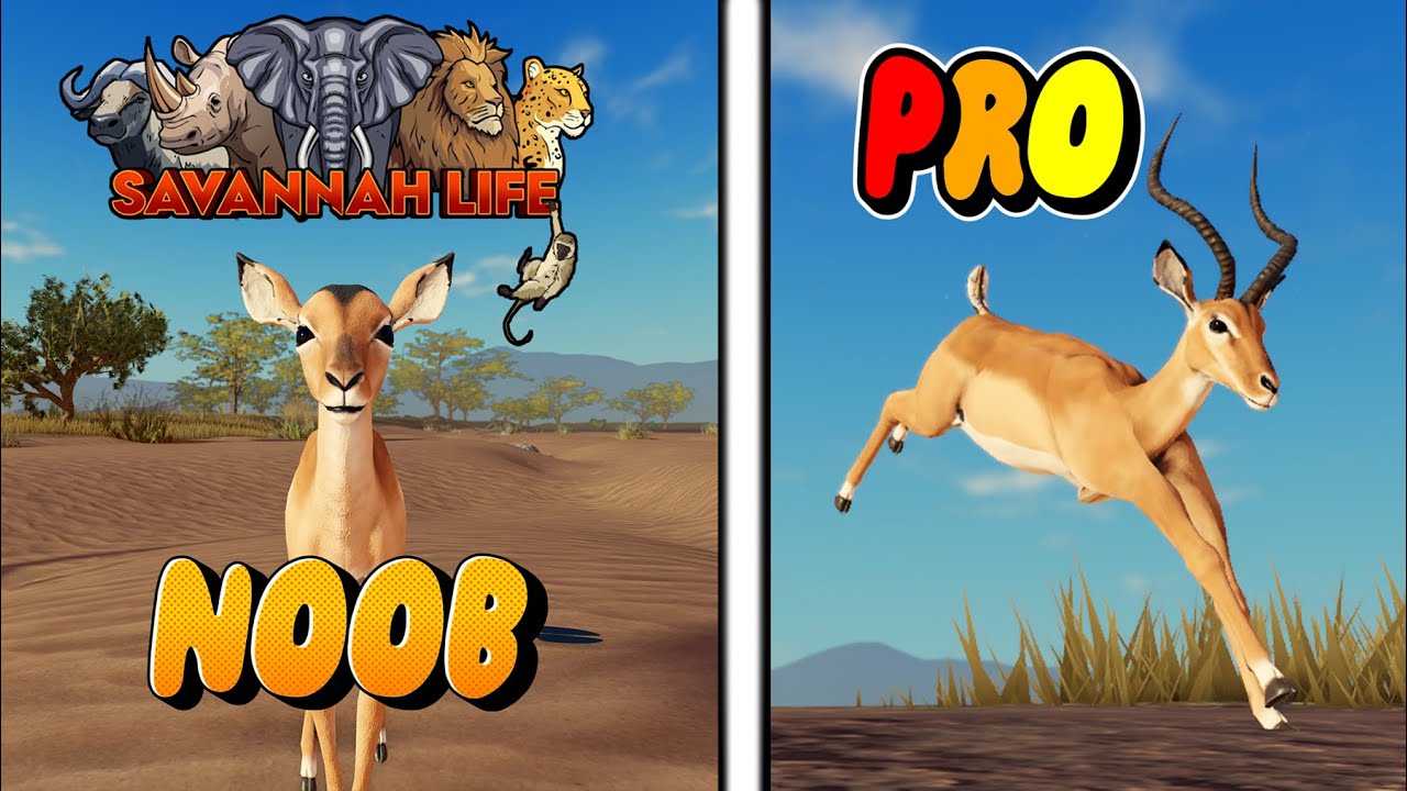 TÔI LÀ MỘT CHÚ NAI VÀNG NGƠ NGÁC TRONG SAVANNAH LIFE | ROBLOX - YouTube
