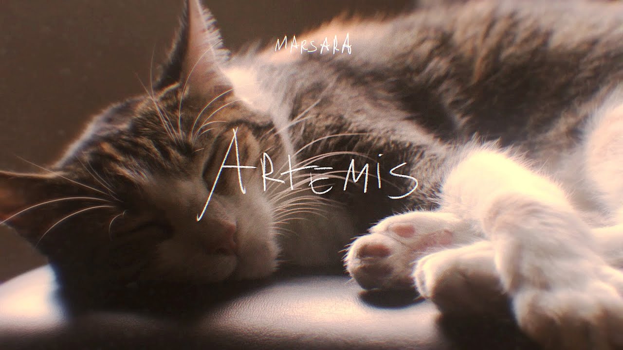 MARSARA - Artemis (Clipe Oficial) - YouTube