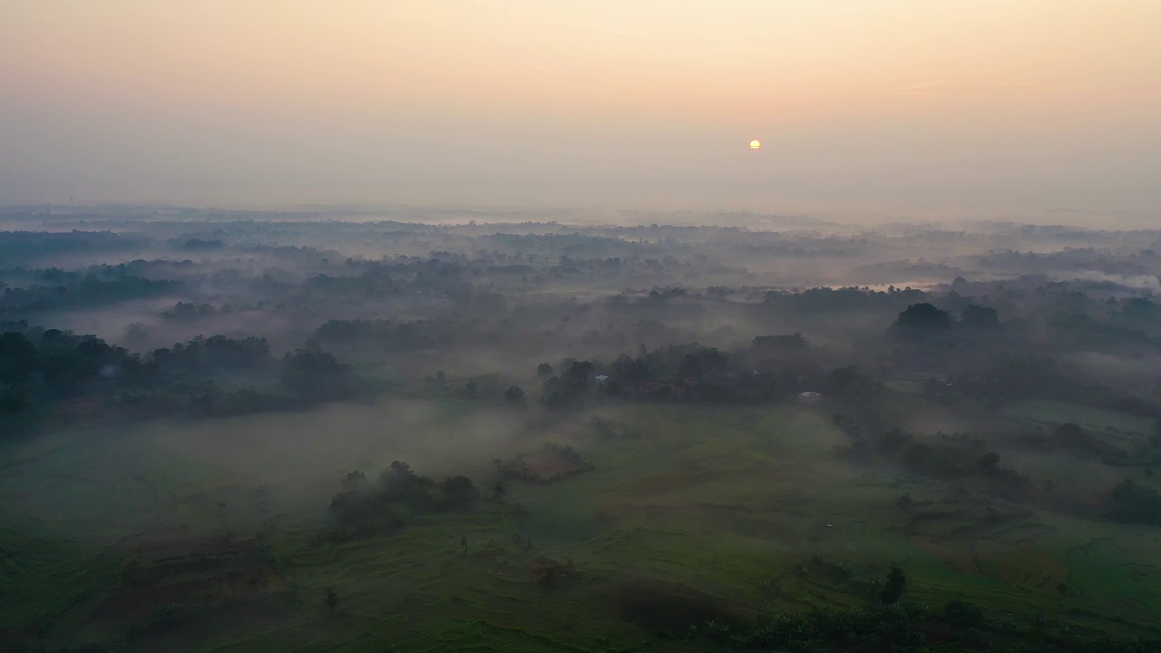 Fog Covers an open field - YouTube