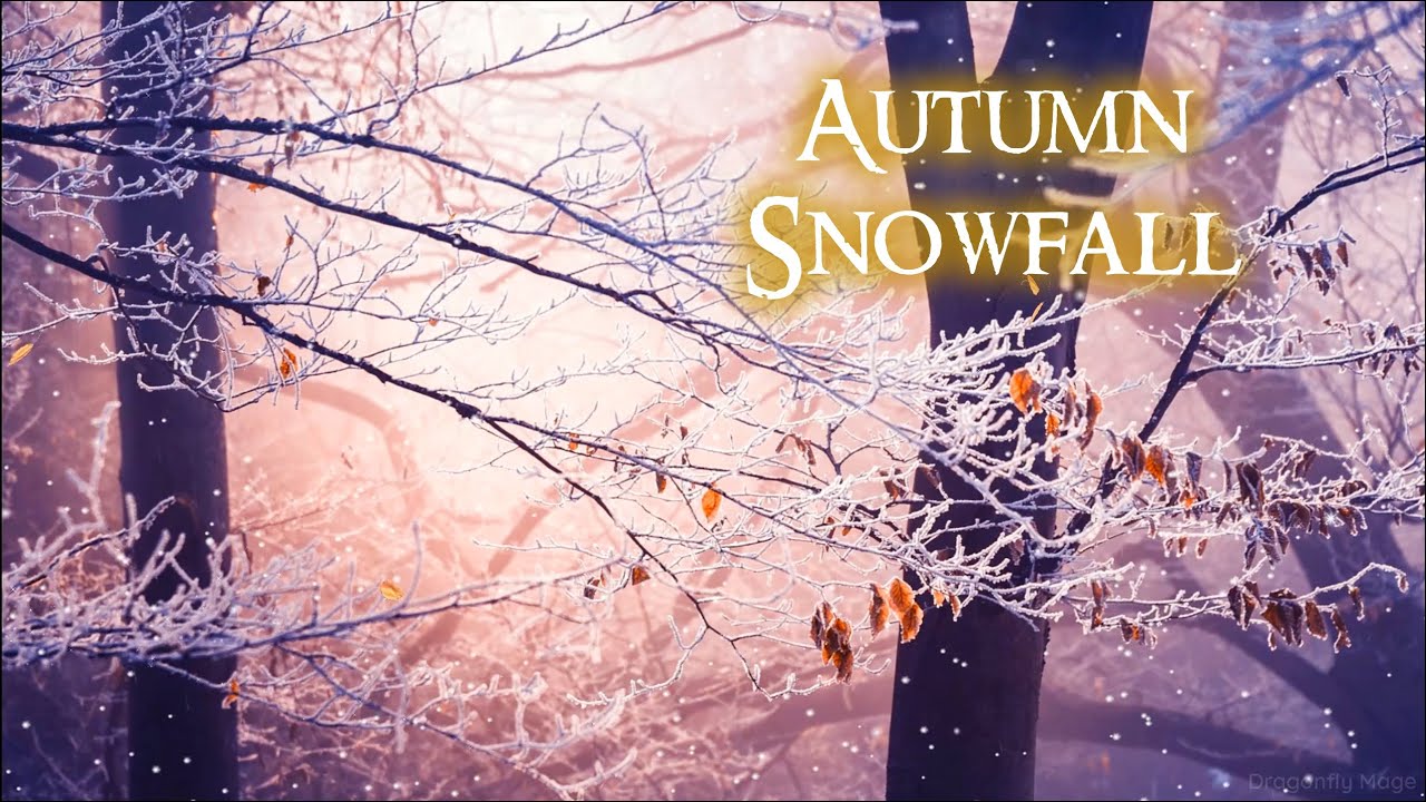 ASMR Ambience ️ Autumn Snowfall (falling snow, wind, crackling ice ...