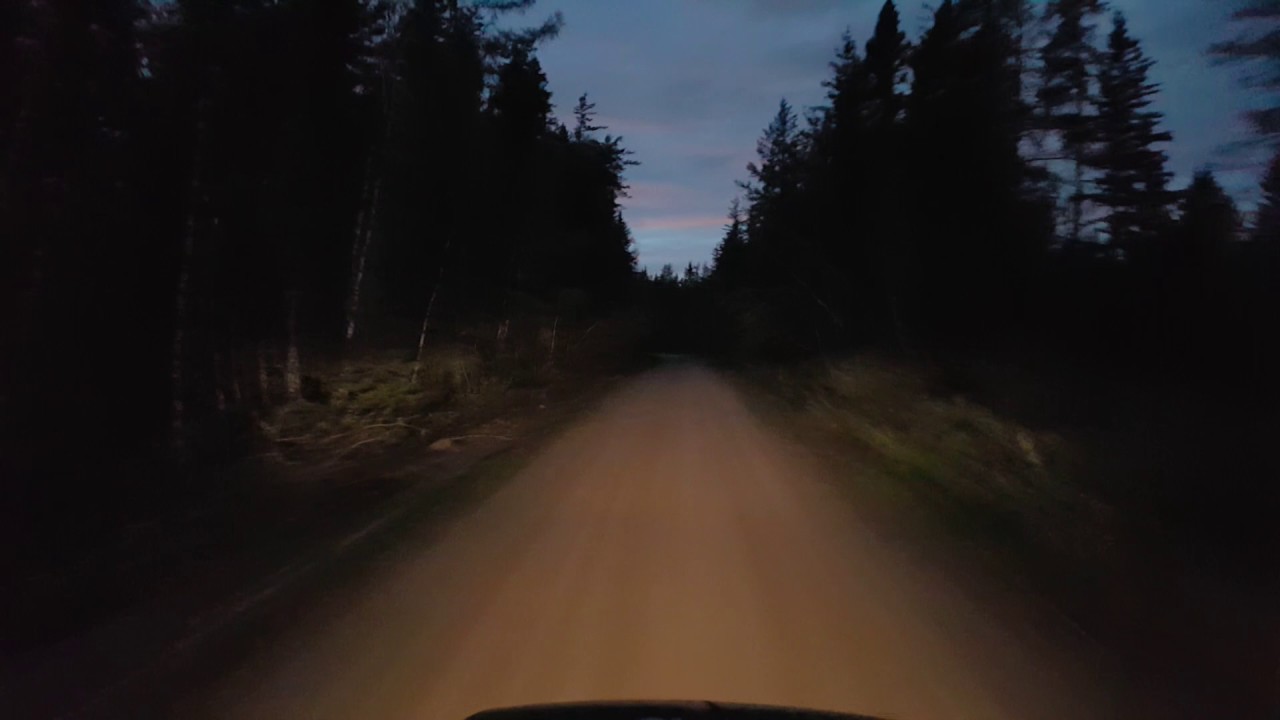 Night run through the woods part 1 - YouTube