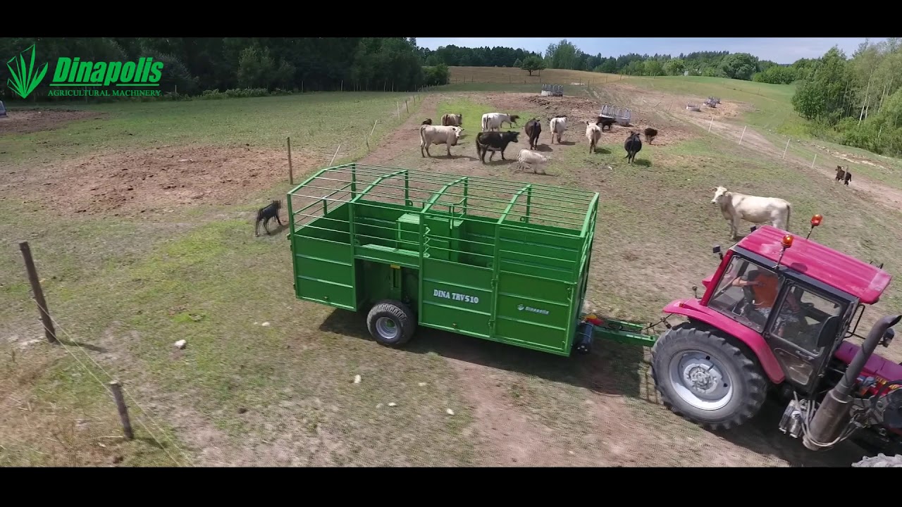 Live stock trailer for cows, sheeps, pigs. Dinapolis trailers. Small ...