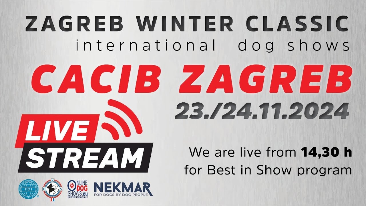 CACIB ZAGREB, 23.11.2024. - YouTube