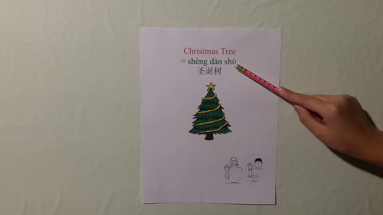 How to say Christmas Tree in Mandarin Chinese - YouTube