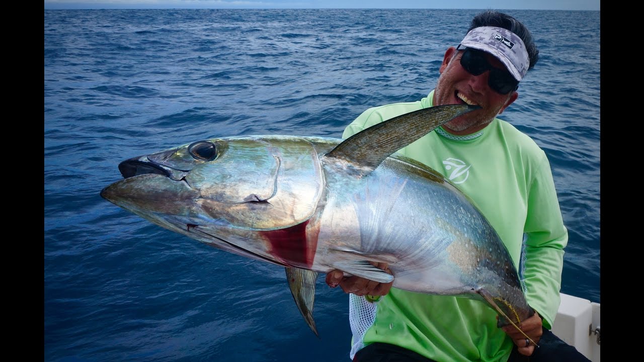 Chunk Fishing for Premium Grade Yellowfin Tuna. - YouTube