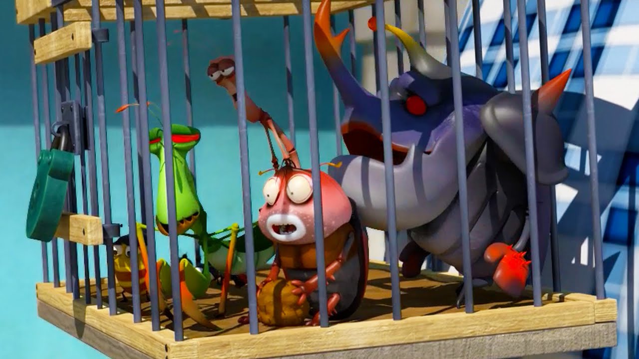 WHAT WILL HAPPEN TO THE BUGS? | LARVA | Cartoons for Kids | WildBrain ...