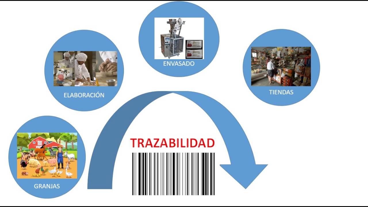 Logística Integral Trazabilidad vídeo 2 de 3 - YouTube
